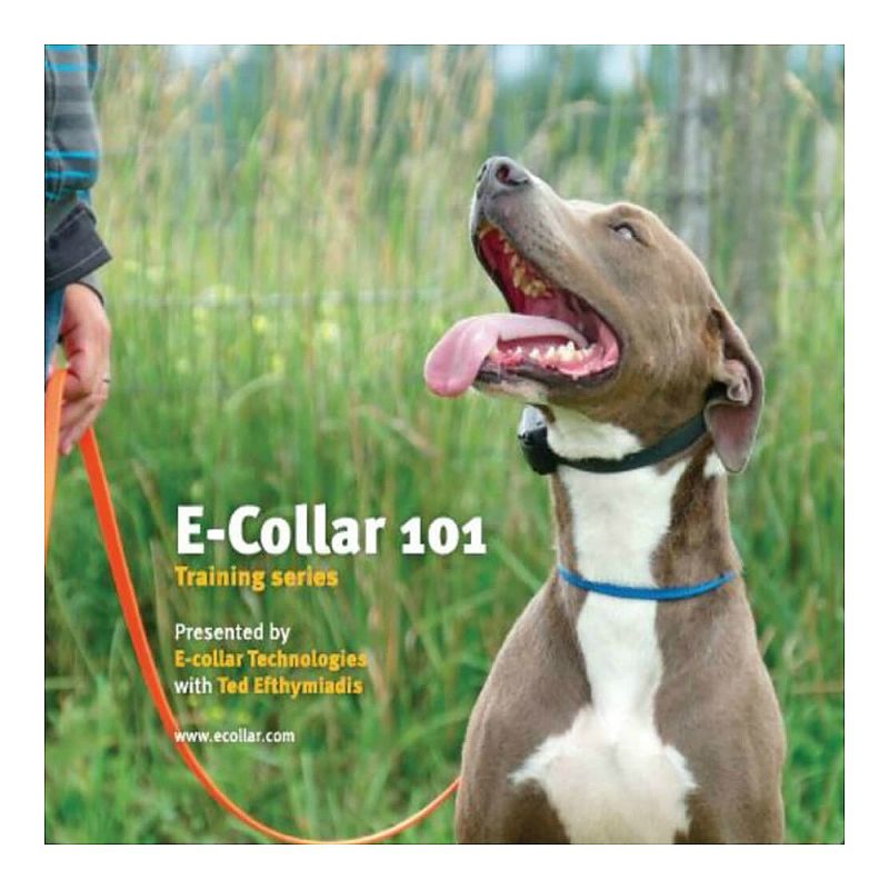E collar store